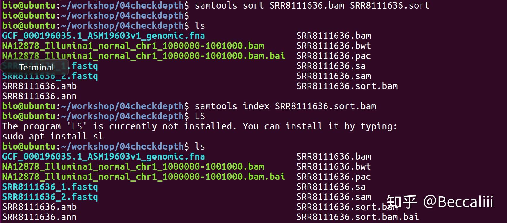 fastq、bam文件与测序深度查询 - 知乎