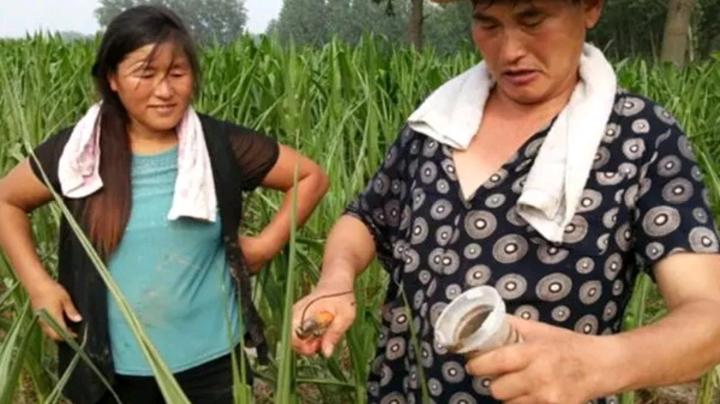 陈亚楠公布大衣嫂的录音出于什么目地？ 知乎