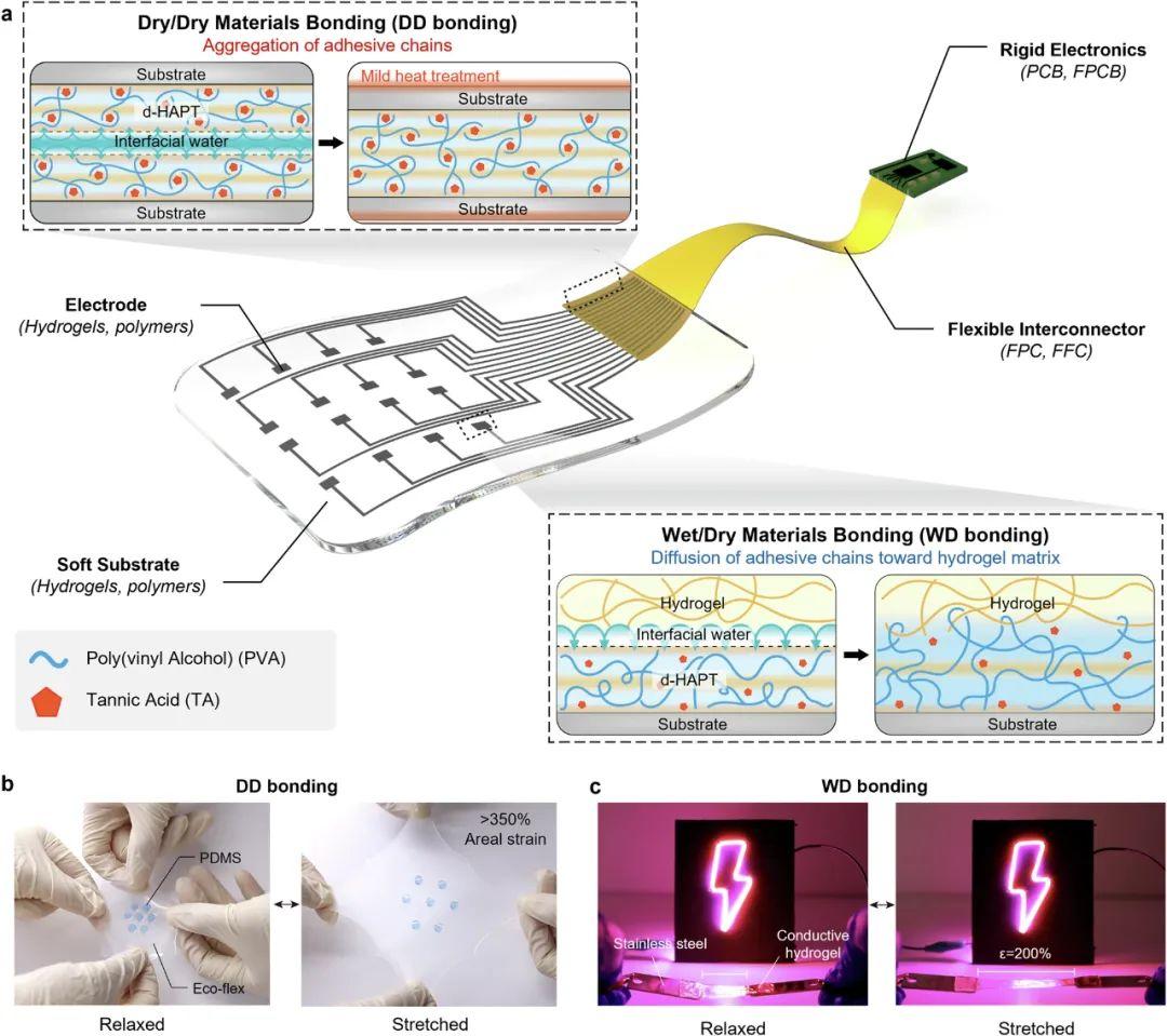 NPJ Flexible Electronics | 用于连接柔性电子材料的通用水凝胶粘合剂 - 知乎
