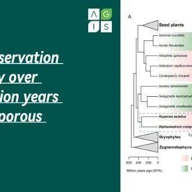 PNAS｜ 138 条染色体，基因组所王丽课题组在植物进化基因组学领域的最新研究成果 - 知乎
