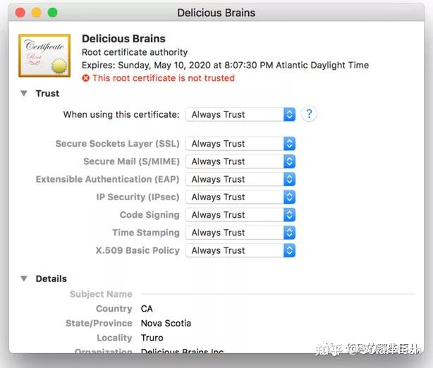 如何在私有网站使用并创建https的证书 - 知乎