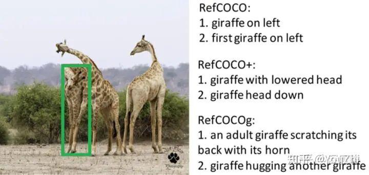 大模型时代目标检测任务 - 知乎