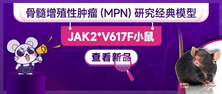 JAK2*V617F小鼠：骨髓增殖性肿瘤（MPN）研究经典模型 - 知乎