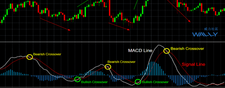 初学者正确使用MACD的说明 - 知乎
