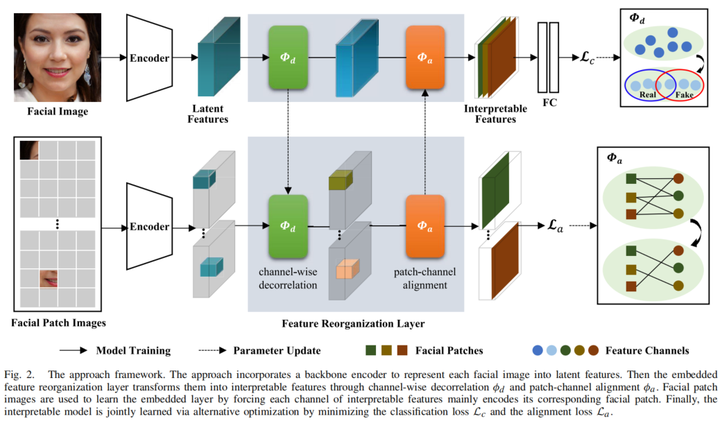 文献阅读：Learning Patch-Channel Correspondence for Interpretable Face ...