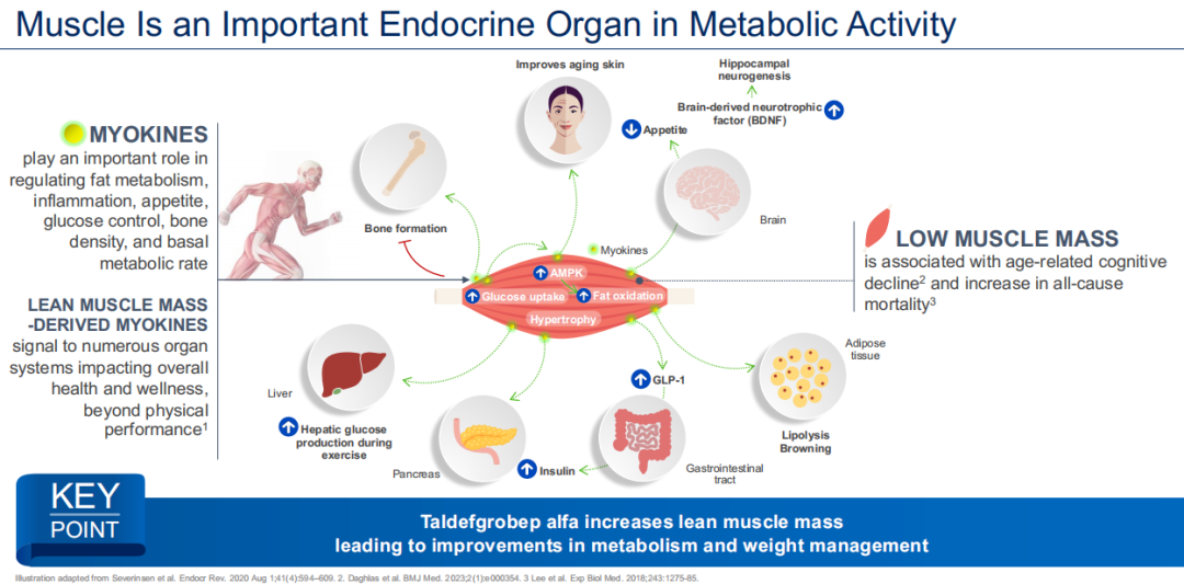 116亿美金卖掉后：新Biohaven重仓ADC、减脂增肌、偏头痛赛道 - 知乎