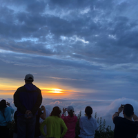 JavaScript 中 null vs undefined：彻底搞懂它们的区别与使用场景！ - 知乎