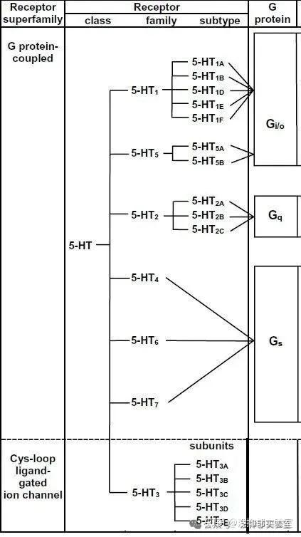 抑郁症治疗-靶点介绍-综述5-HT2AR靶点的过去与未来 - 知乎