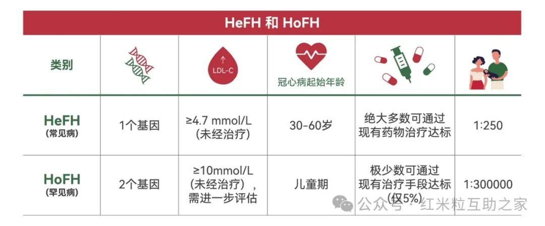 疾病科普 | 杂合子FH（HeFH） VS 纯合子FH（HoFH），一字之差到底有何区别？ - 知乎