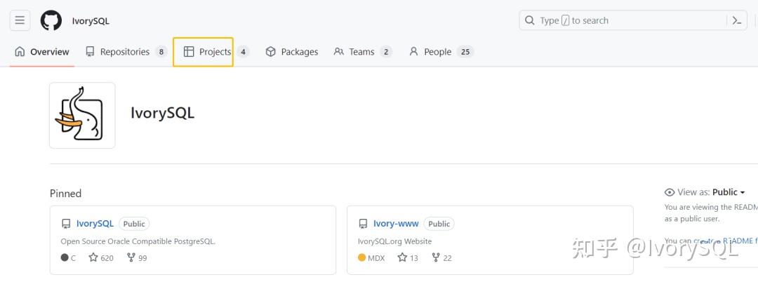 不容错过 | IvorySQL外部贡献者计划开启，寻找开源锦鲤！ - 知乎