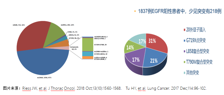 DZD9008，针对EGFR ex20ins的有效抑制剂 - 知乎