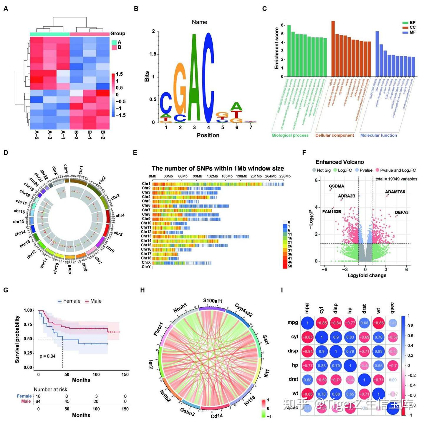 文献阅读 | PLoS ONE | SRplot：一个免费的在线平台，用于数据可视化和图形 - 知乎