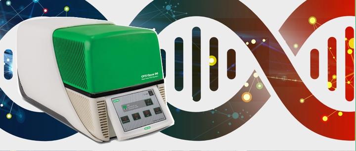 柏辰带您走进qPCR MIQE workshop 2025：探索qPCR技术的奥秘 - 知乎