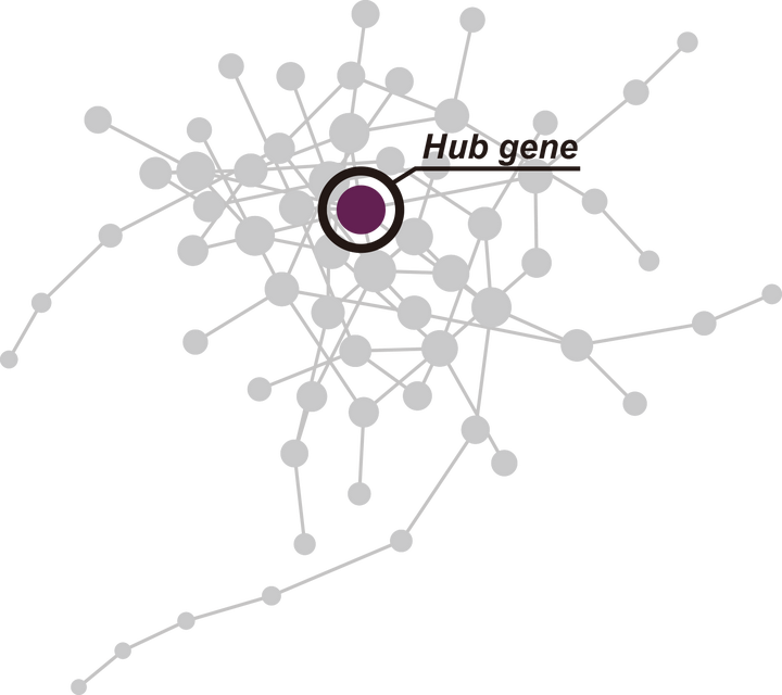 如何筛选基因——Hub gene 识别方法 - 知乎