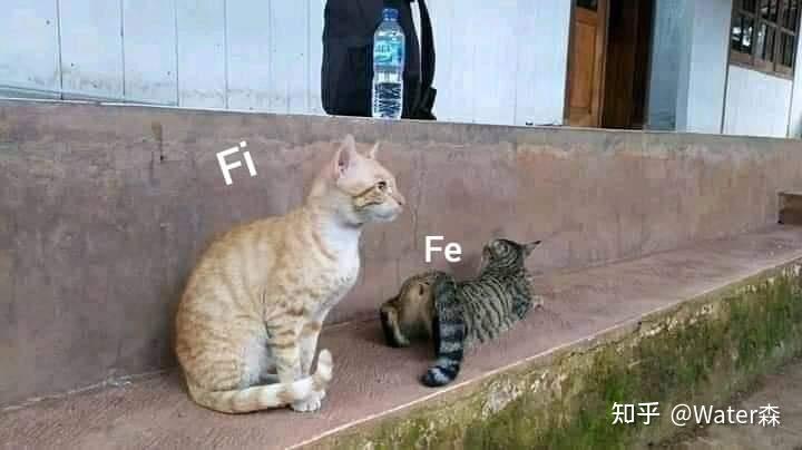 Ti-Fe与Fi-Te八维功能对的差异对比 - 知乎