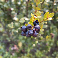 ETAS AUTOSAR中Spinlock学习笔记 - 知乎