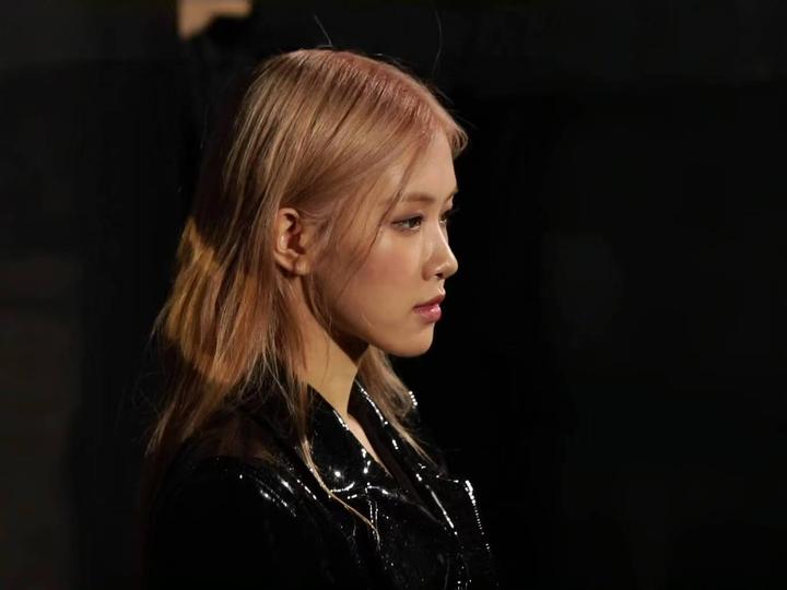 Rosé (歌手) / Rosé (singer) （第二部分：剩余部分）- 中英文维基百科词条融合，由辽观搬运、翻译、整合 - 知乎