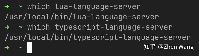 详解nvim内建LSP体系与基于nvim-cmp的代码补全体系 - 知乎