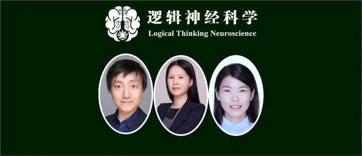 Nat Genet︱浙江大学医学院郭国骥/韩晓平团队发表基于人工智能神经网络的基因组解读系统Nvwa，并揭示细胞命运决定的共性规律 - 知乎