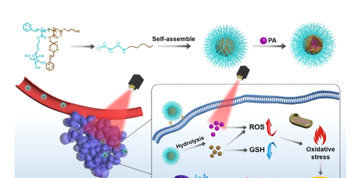 KP372-1/Resorufin/HKOH-1r/Garcinone D/Protocatechualdehyde/Azoramide ...