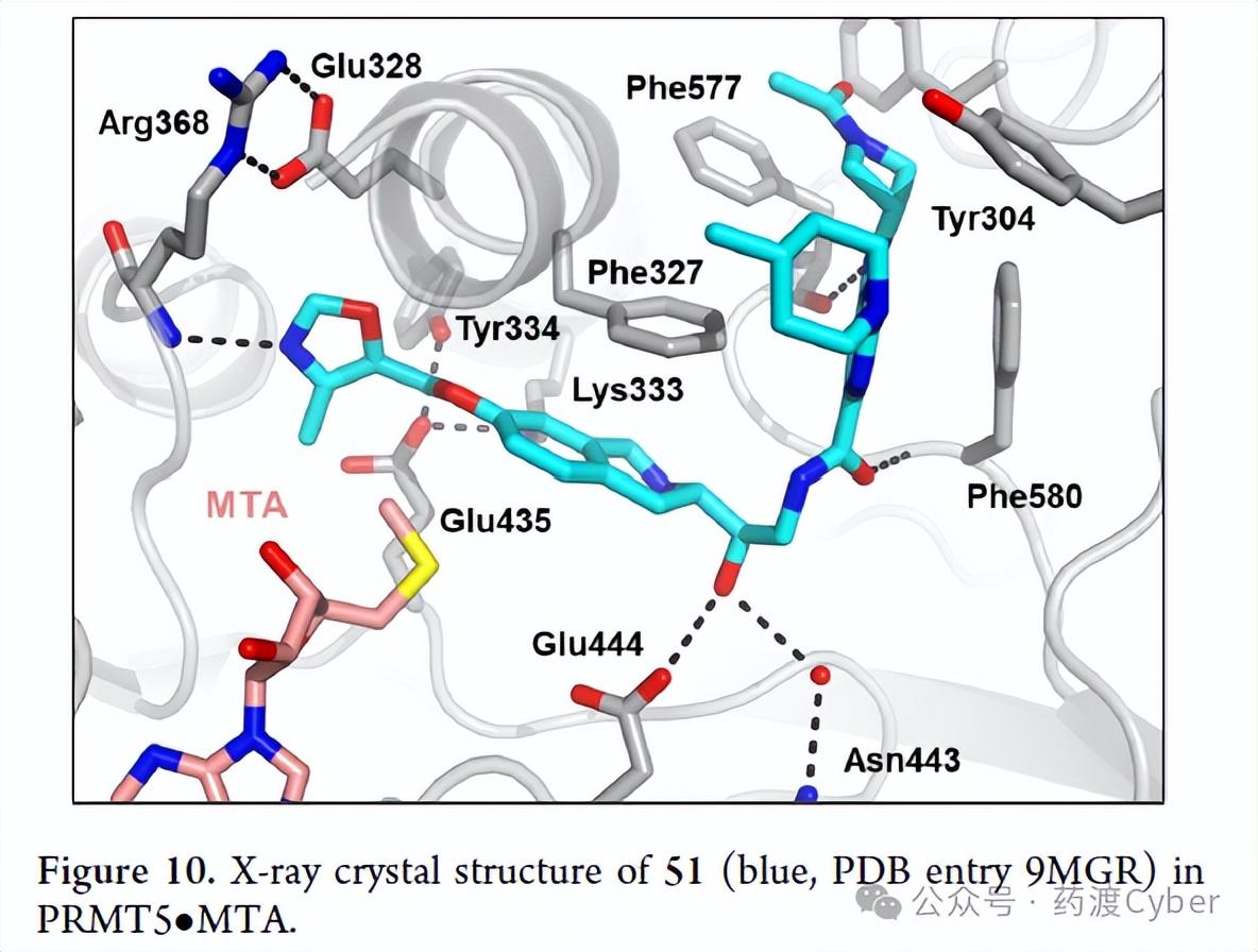 药渡Cyber解析MTA协同PRMT5抑制剂的发现与结构优化 - 知乎