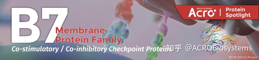 B7家族的多面光辉 - 知乎