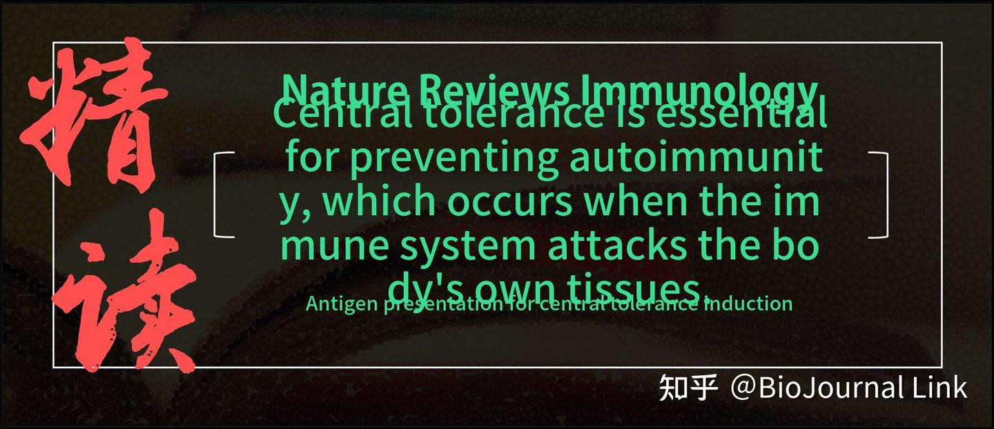 综述 | Nat.Rev.Immunol | 抗原呈递在中枢耐受诱导中的作用 - 知乎