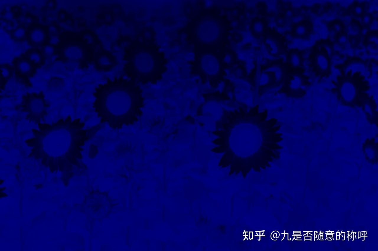 yuv转rgb,420,422,NV12, NV21,I420,YV12,YVYU,YUY2,UYVY, NV16, NV61,NV24 ...