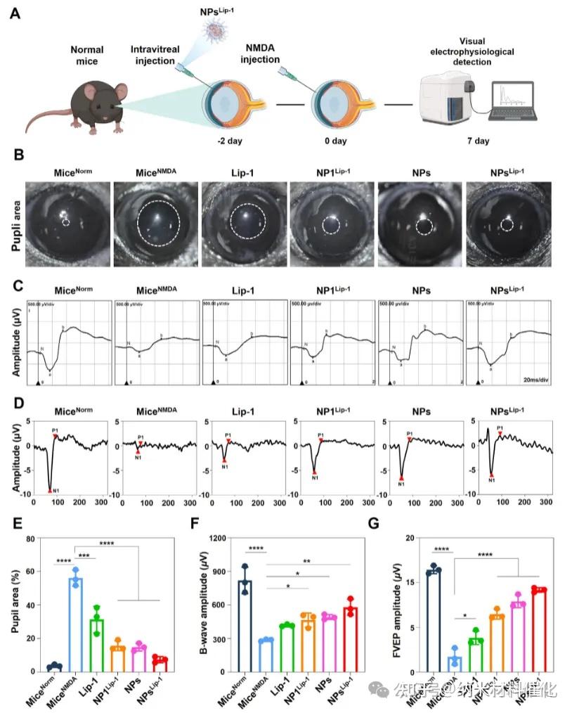【Adv.Mater】铁螯合和活性氧清除聚合物与硫酮和硫醚键传递铁死亡抑制剂Lip‐1提供急性青光眼视网膜神经节细胞三联治疗策略 - 知乎