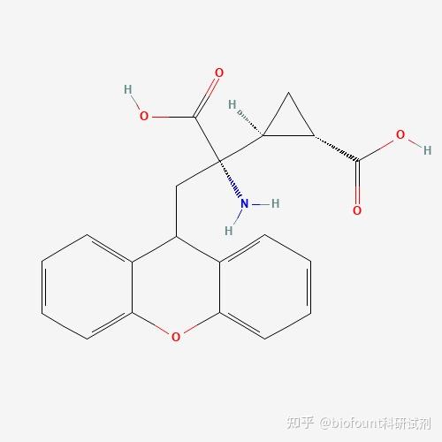 LY 341495，II 组拮抗剂 - 知乎