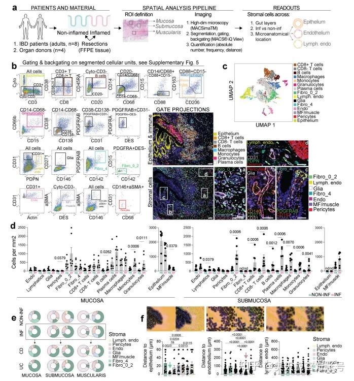 Nature前沿 | MACSima™助力小儿炎症性肠病 (IBD) 病理学研究及治疗靶点发现 - 知乎