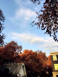 DC综合输出GTECH Netlist - 知乎