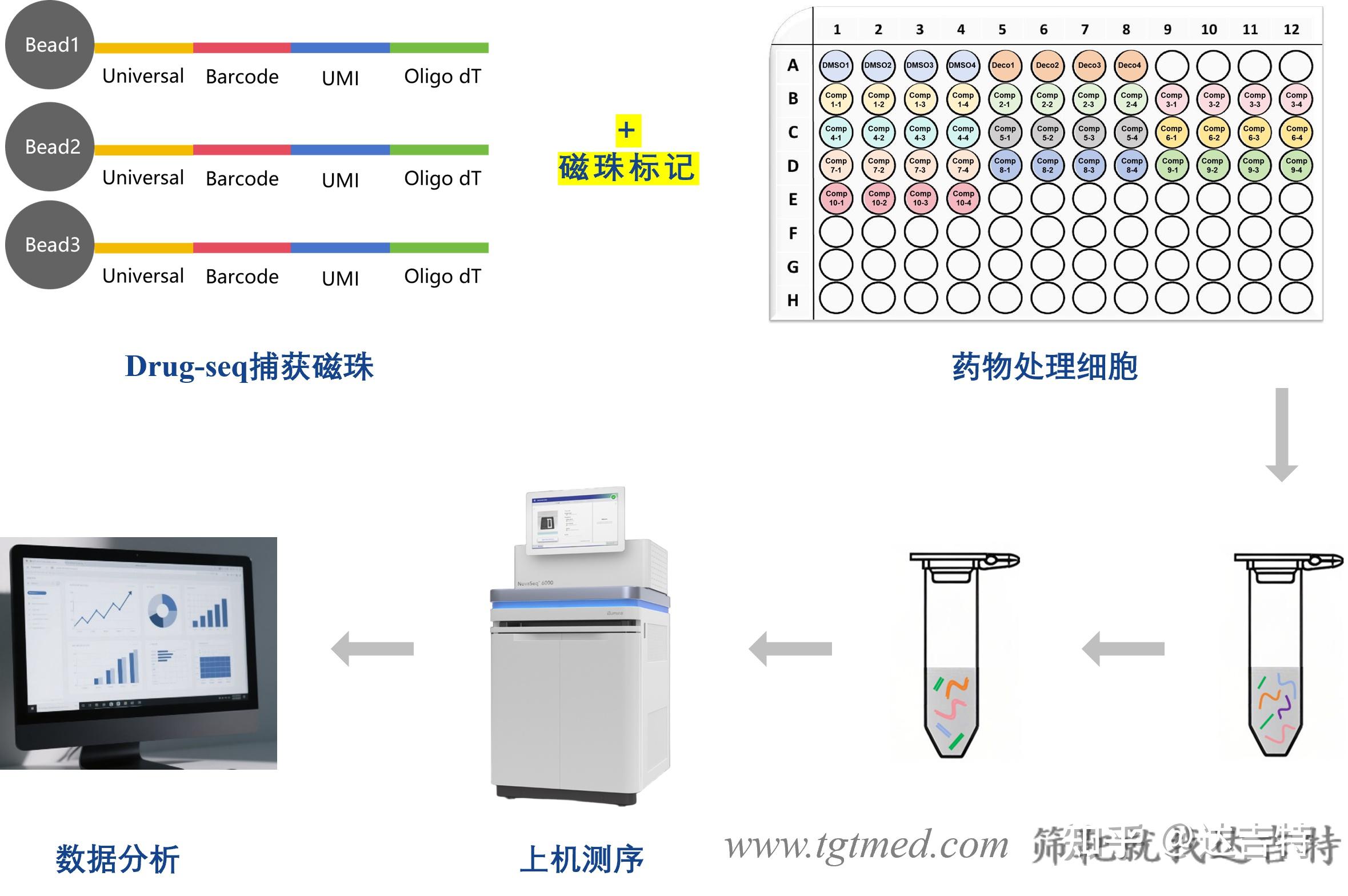 中药复方筛选不用愁！DRUG-seq 帮你快速找到关键活性成分-技术前沿-资讯-生物在线