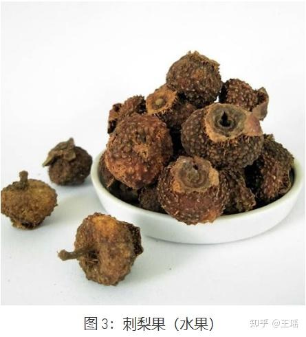 新型专利成分Senactiv® 如何让您更加努力地训练和恢复 - 知乎