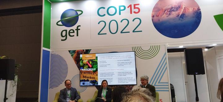 蒙特利尔CBD COP15为自然带来了什么？｜昆明-蒙特利尔全球生物多样性框架 - 知乎