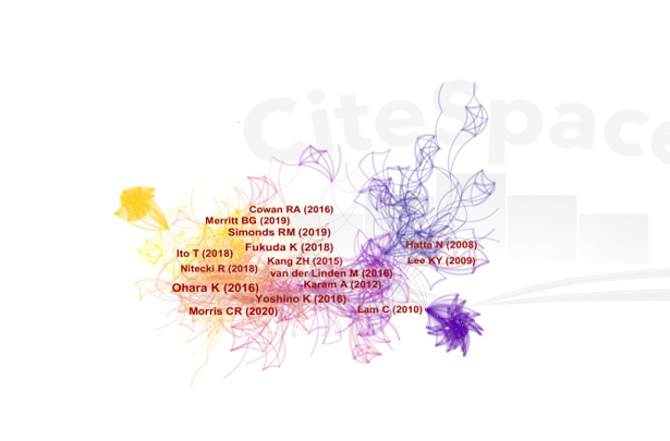 CiteSpace保姆级安装教程（windows免费版） - 知乎