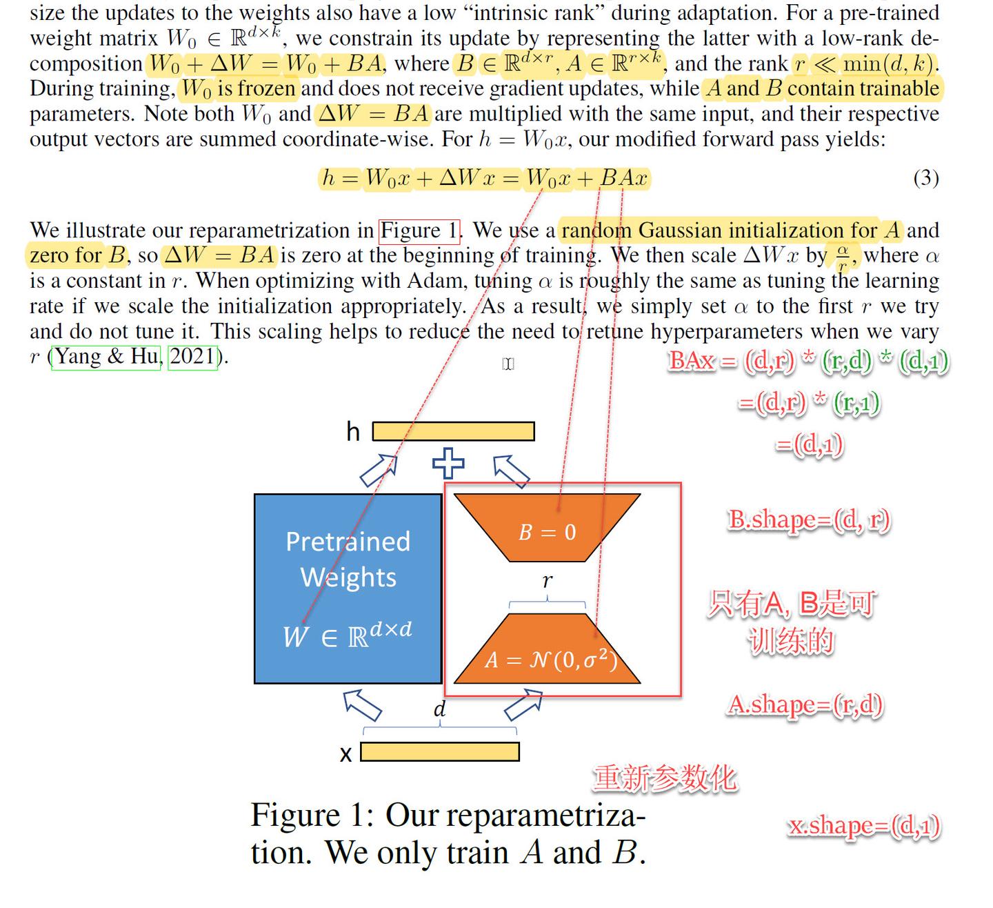 [速读经典]LoRA-给大语言模型做Low-Rank低秩改造 - 知乎