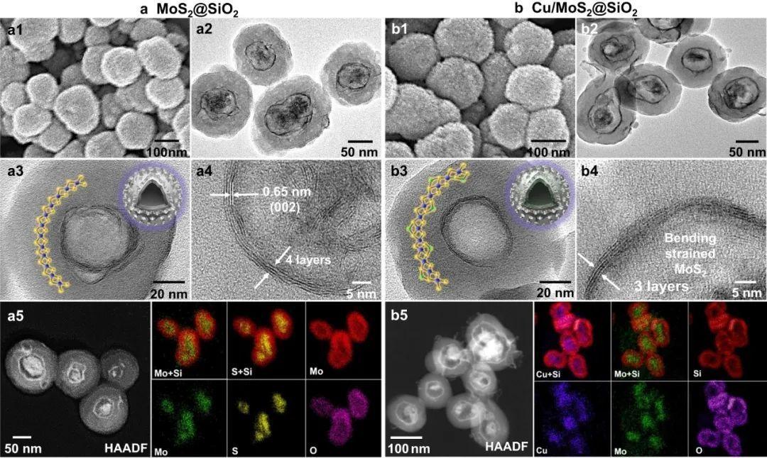 Nat. Commun.: 具有原子铜和硫空位应变少层MoS2助力加氢制甲醇 - 知乎