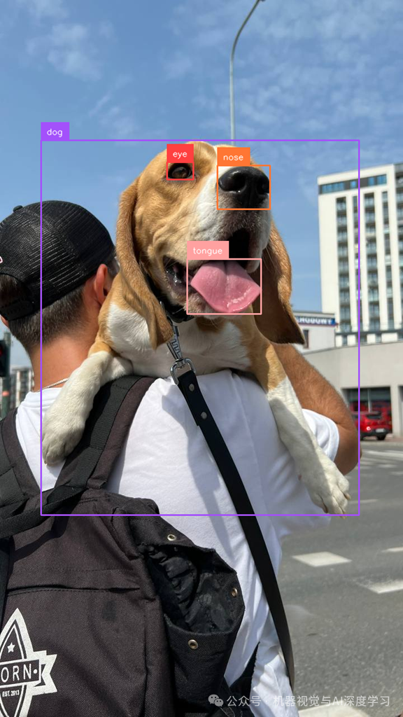 YOLOE介绍与使用：实时观察一切，统一开放物体检测 - 知乎