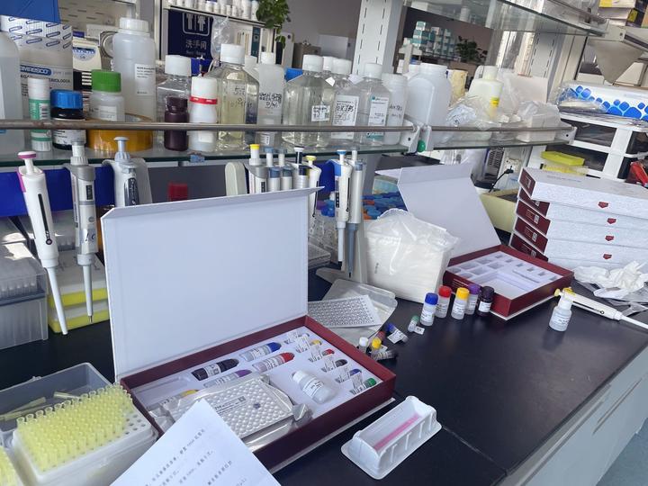 推荐：Sterikon® Plus 生物指示剂 - 知乎