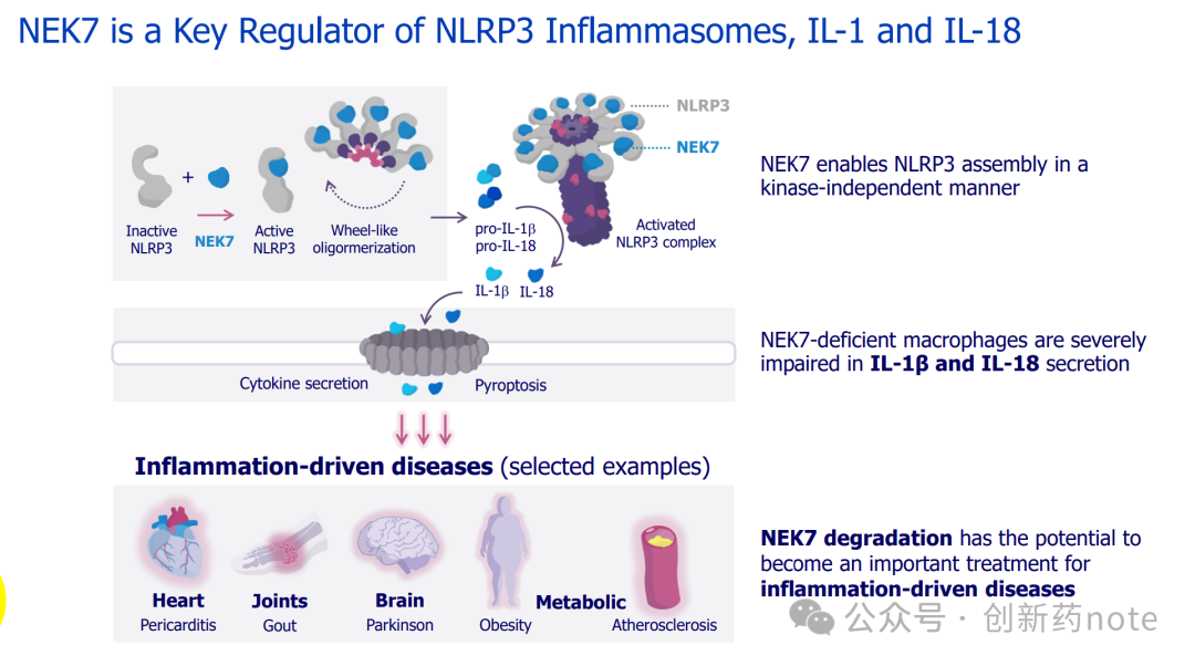 Monte rosa therapeutics – 分子胶领域的王 - 知乎