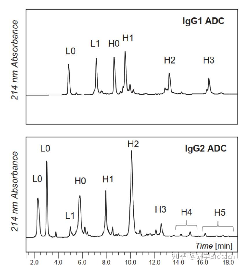 半胱氨酸偶联的IgG1/ IgG2抗体偶联药物(ADC)表征对比分析 - 知乎