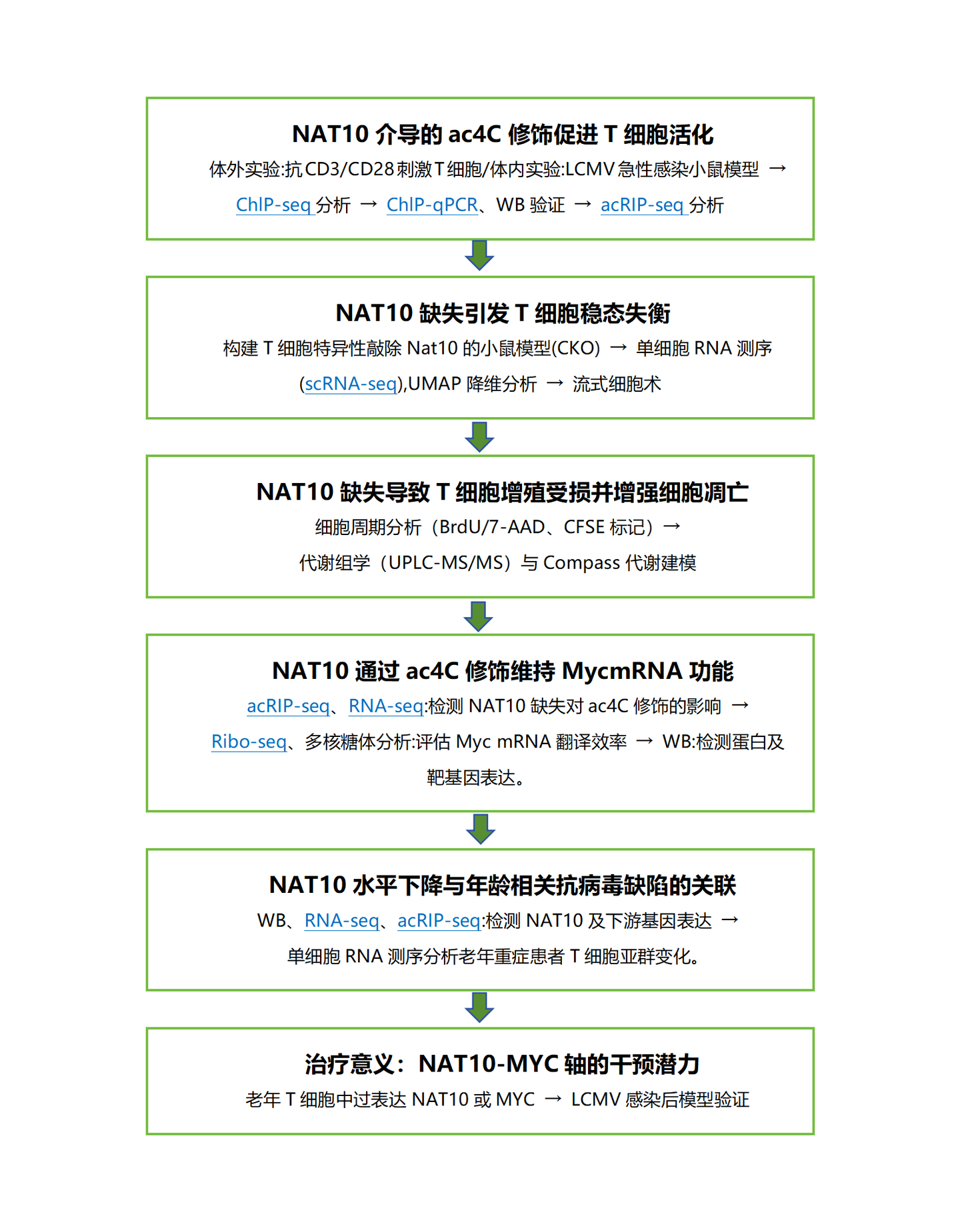 云序用户Nat Immu IF 27.7|acRIP-seq，Ribo-seq，RNA-seq联合揭秘ac4C修饰调控网络 - 知乎