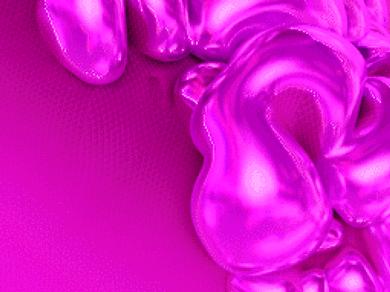 WGSN × COLORO | 2026年度色彩及春夏四大关键色 - 知乎