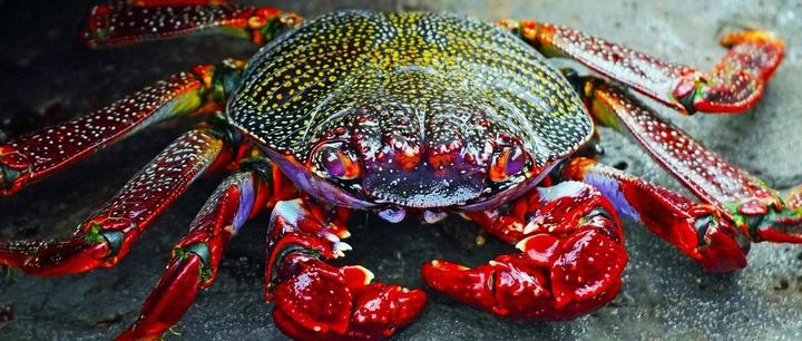 Rust Web 开发之Axum使用手册 - 知乎