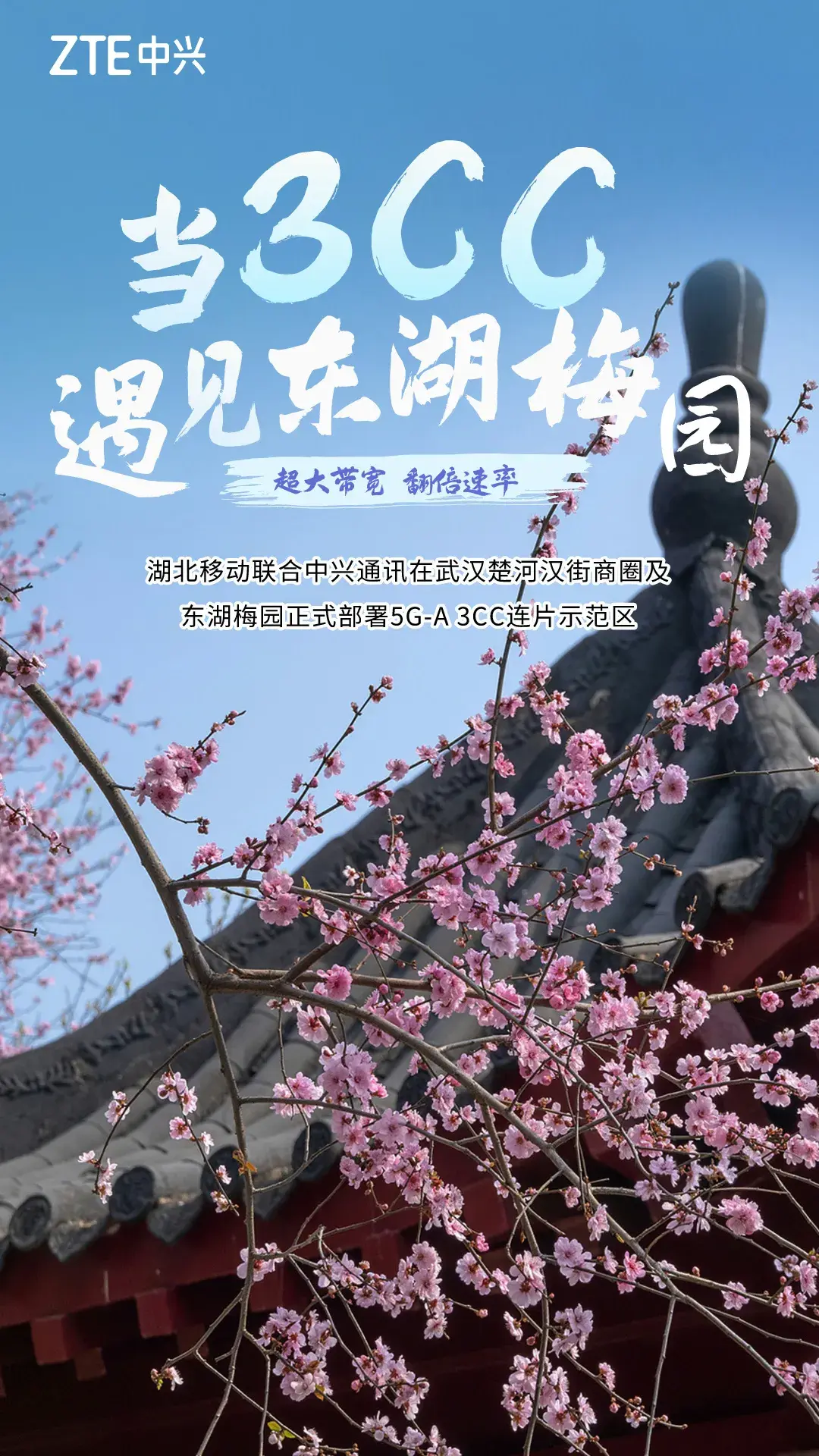 什么是3CC技术？听说能让网速蹭蹭涨？ - 知乎