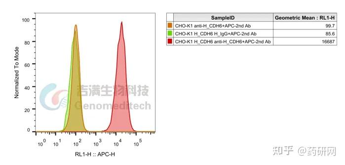 CDH6—卵巢癌、肾细胞癌靶向治疗的新兴靶点 - 知乎