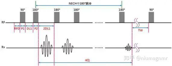 为什么要用CPMG序列测试T2？ - 知乎