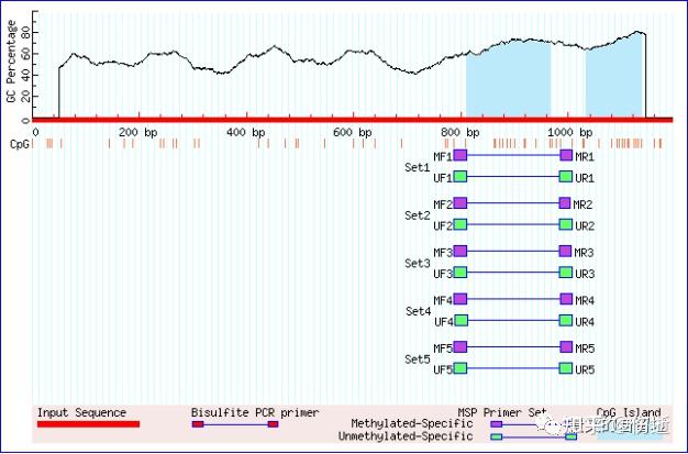 浅谈一种甲基化研究方法——甲基化PCR - 知乎