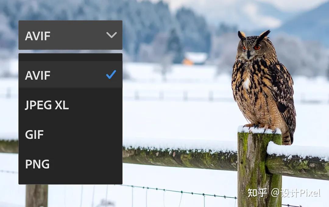 Adobe Photoshop v26.8版推荐更新-支持编辑avif图片 - 知乎